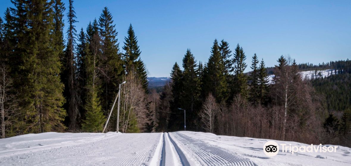 Solleftea Municipality Travel Guide 2024 - Things to Do, What To Eat ...