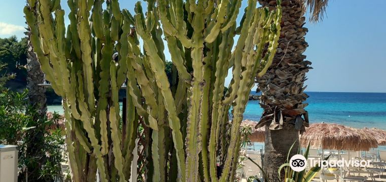 Things to Do in Leporano Marina in 2025 - Top Attractions, Local Food ...