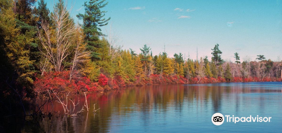 Things to Do in Paupack Township in 2025 - Top Attractions, Local Food ...