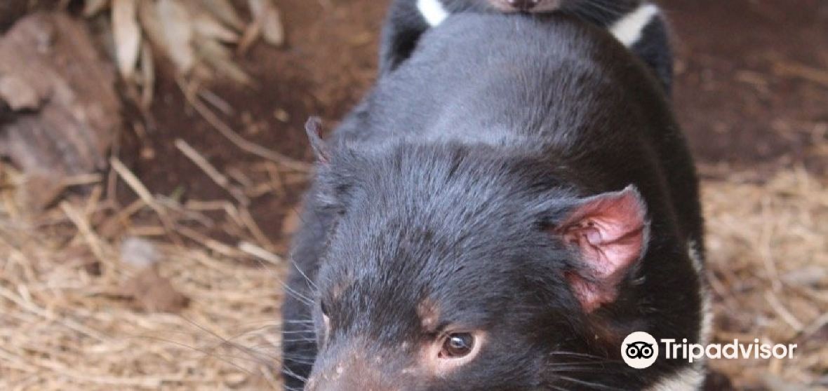 Things to Do in Tomalla in 2024 - Top Attractions, Local Food, Hotels ...