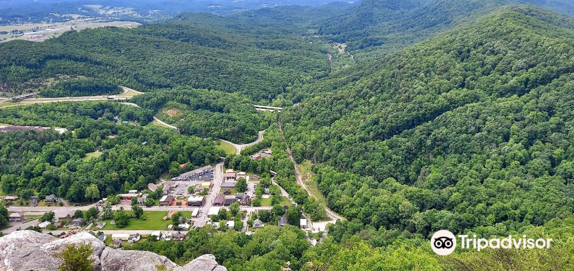 Things to Do in Lee County in 2025 - Top Attractions, Local Food ...