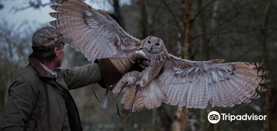 Things to Do in Landford in 2024 - Top Attractions, Local Food, Hotels ...