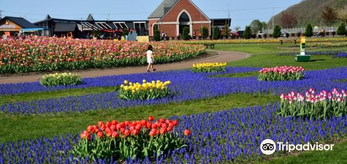 Things to do in Yubetsu (2025): Top nearby activities,popular ...