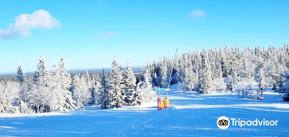 Things to do in Malung (2025): Top nearby activities,popular ...