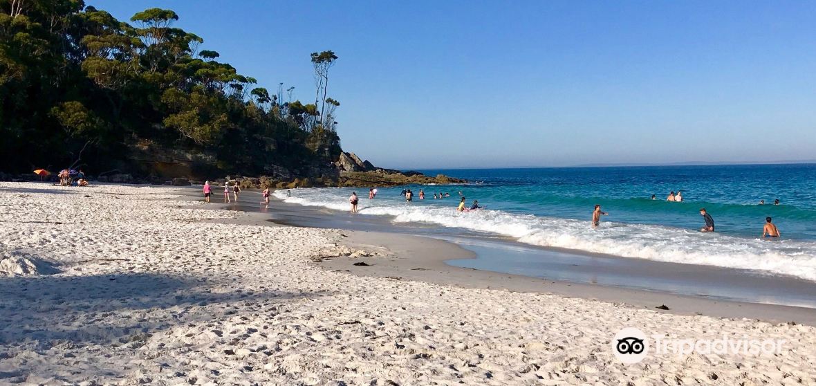 Things to Do in Vincentia in 2025 - Top Attractions, Local Food, Hotels ...