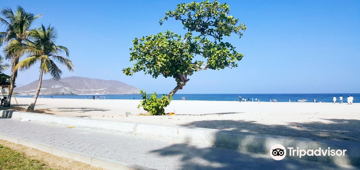 Things to Do in Khor Fakkan in 2025 - Top Attractions, Local Food ...