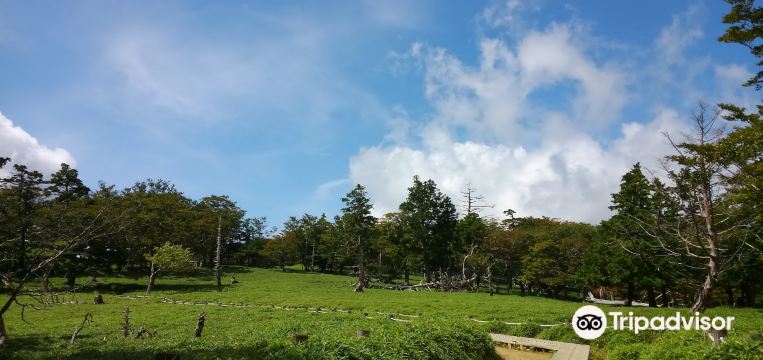 Things to Do in Odai in 2025 - Top Attractions, Local Food, Hotels ...