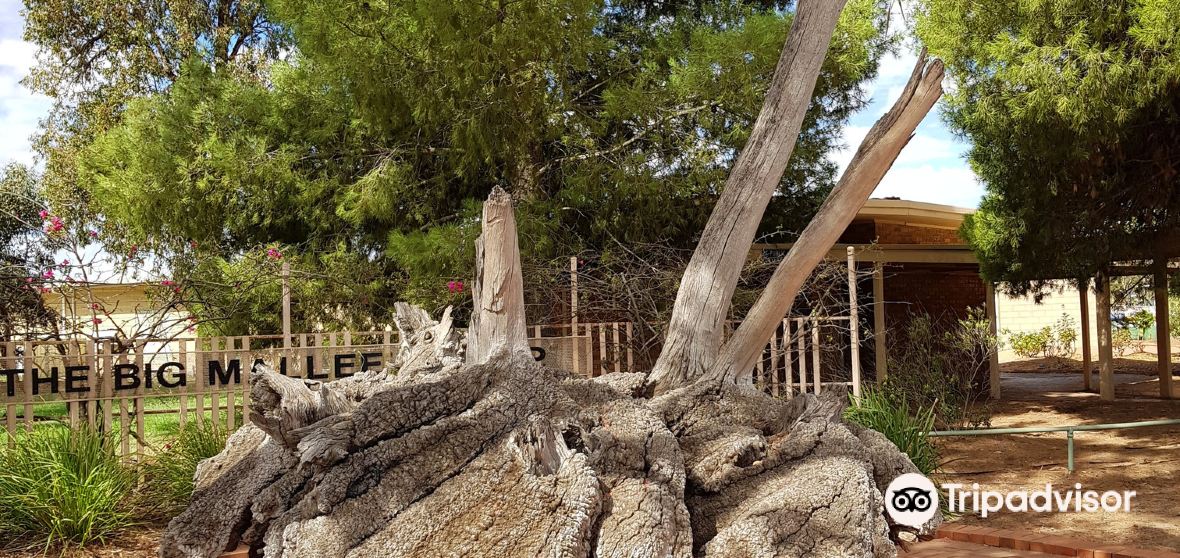 Things to do in Ouyen (2025): Top nearby activities,popular attractions ...