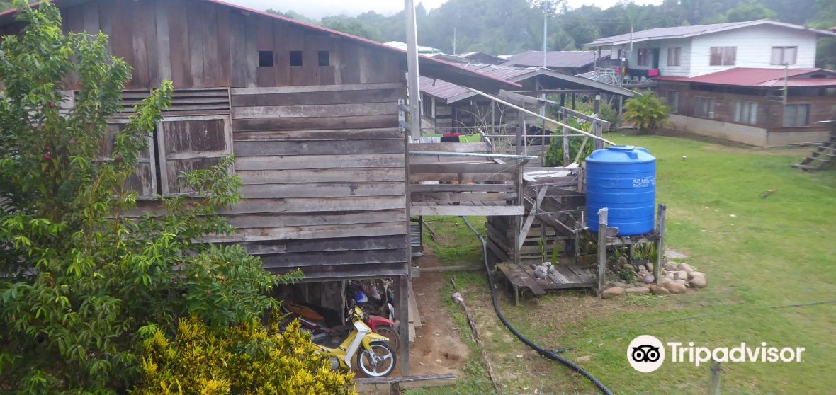 Marudi Travel Guide 2024 - Things to Do, What To Eat & Tips | Trip.com