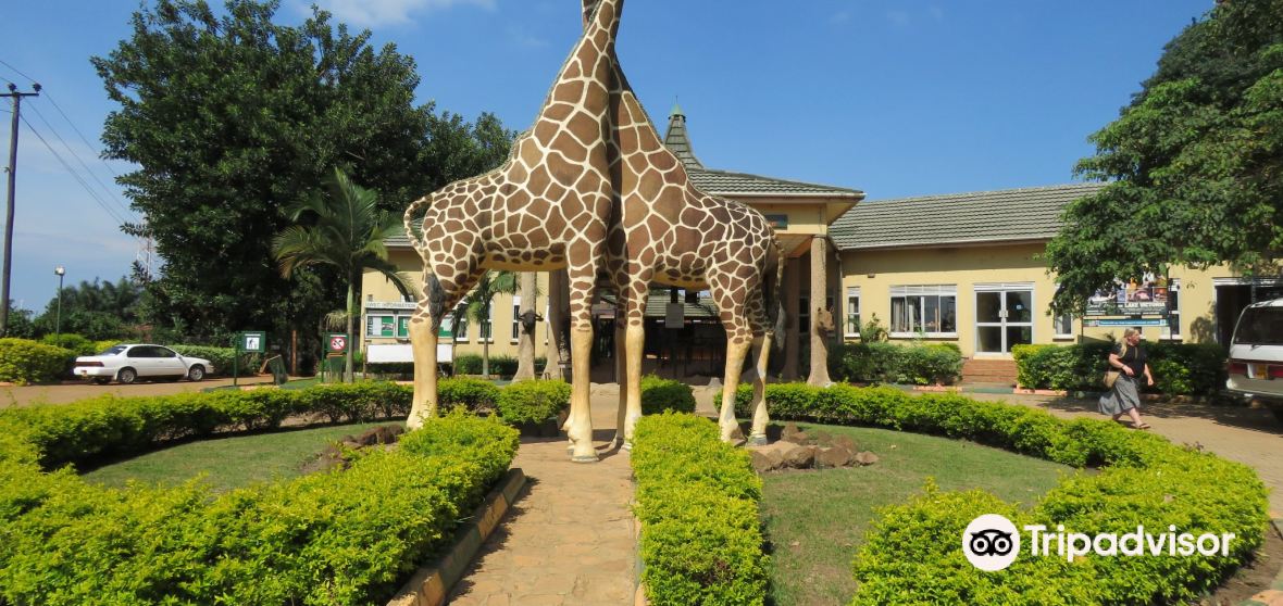 Things to do in Entebbe (2025): Top nearby activities,popular ...