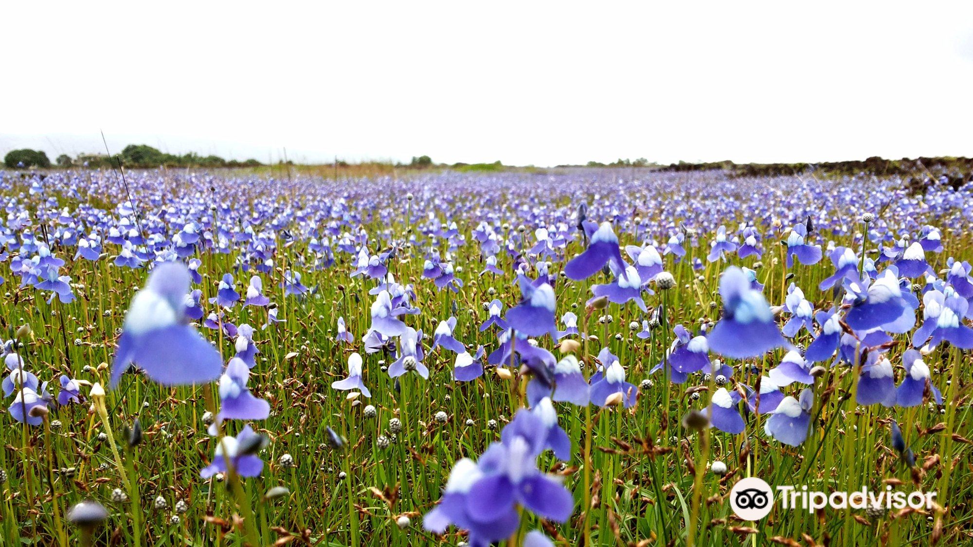 Hotels near Our Lady of Lourdes Syro-Malabar Catholic Basilica ...