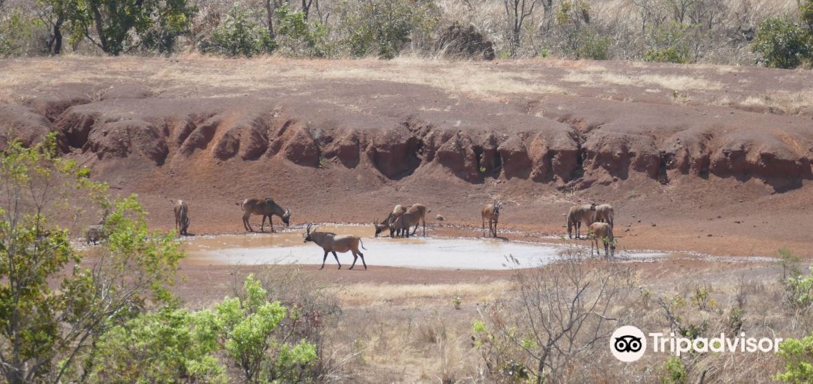 Atacora Travel Guide 2023 - Things to Do, What To Eat & Tips | Trip.com