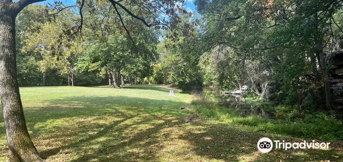 Carthage Travel Guide 2024 - Things to Do, What To Eat & Tips | Trip.com