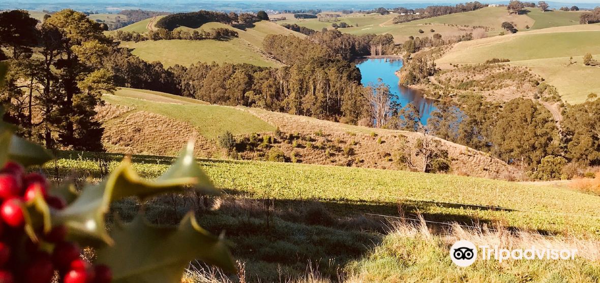 Arawata Travel Guide 2025: Top Attractions, Things to Do & Deals | Trip ...