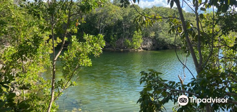 North Key Largo Travel Guide 2025: Top Attractions, Things to Do ...