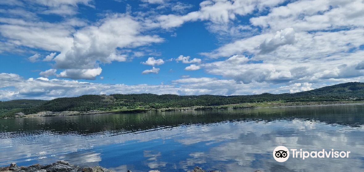 Things to Do in Minnesund in 2025 - Top Attractions, Local Food, Hotels ...