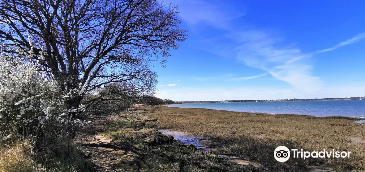 Wrabness Travel Guide 2024 - Things to Do, What To Eat & Tips | Trip.com