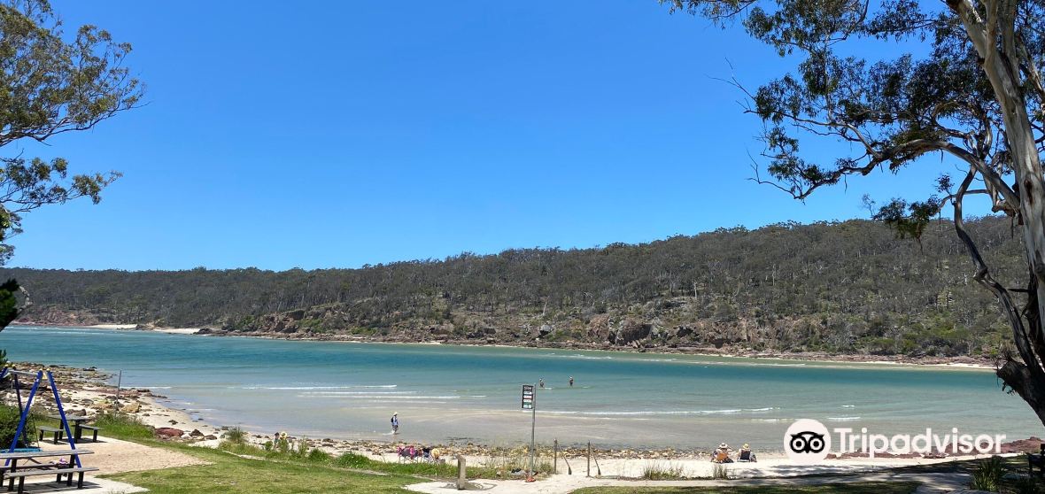Things to Do in Pambula Beach in 2024 - Top Attractions, Local Food ...