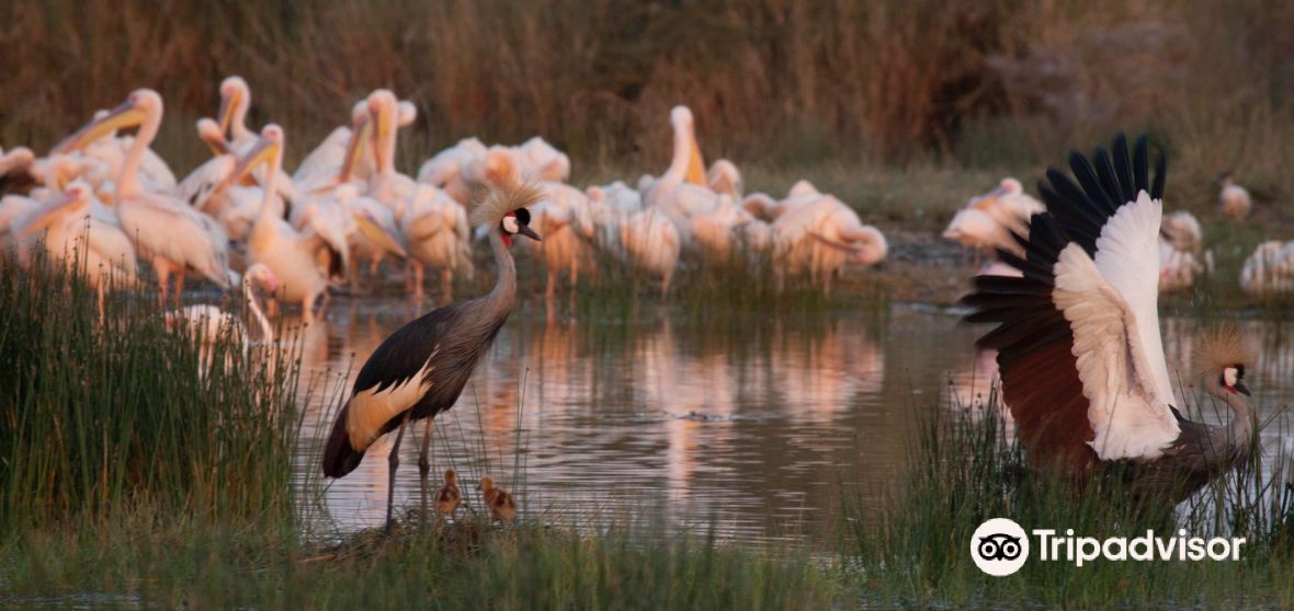 แนะนำการเดินทาง Gilgil 2023 - สิ่งที่ควรทำ, อาหารที่ควรรับประทาน & ทิป ...