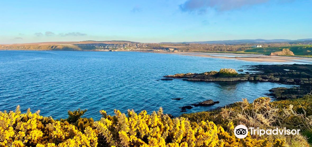 Things to Do in Portknockie in 2024 - Top Attractions, Local Food ...