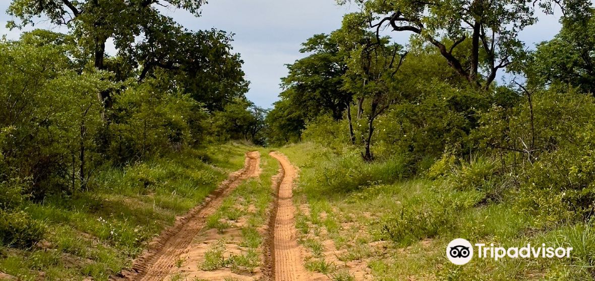 Things to Do in Grootfontein in 2025 - Top Attractions, Local Food ...