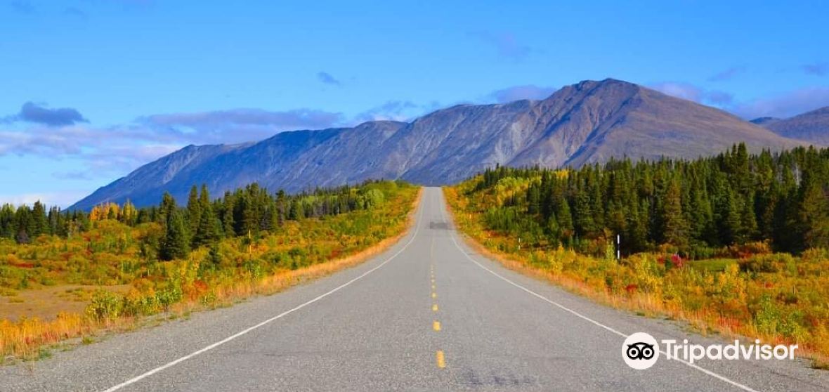 Things to Do in Stikine Region in 2024 - Top Attractions, Local Food ...