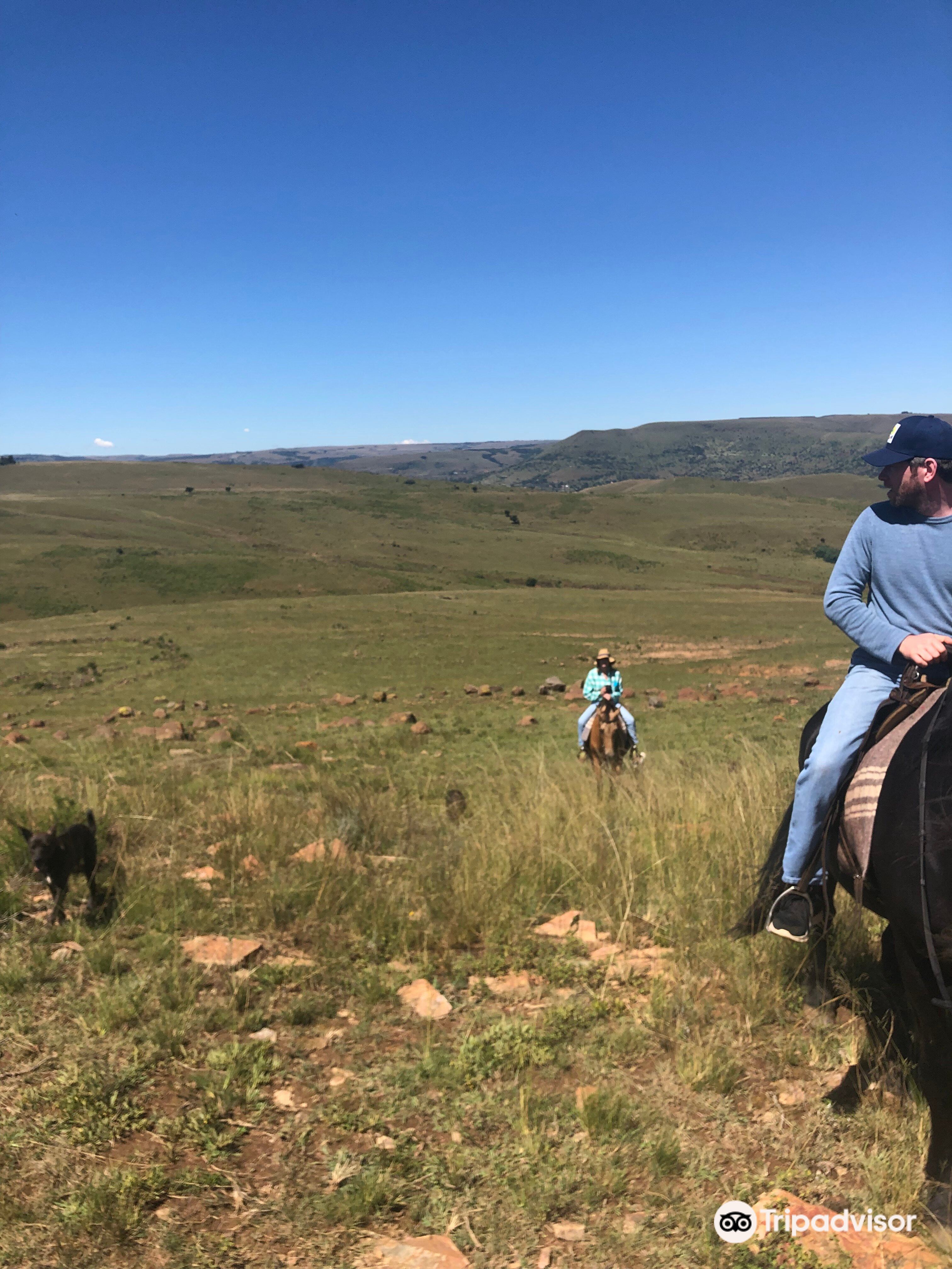 Closest Hotels Near Mkhombo Nature Reserve - Nkangala | Trip.com