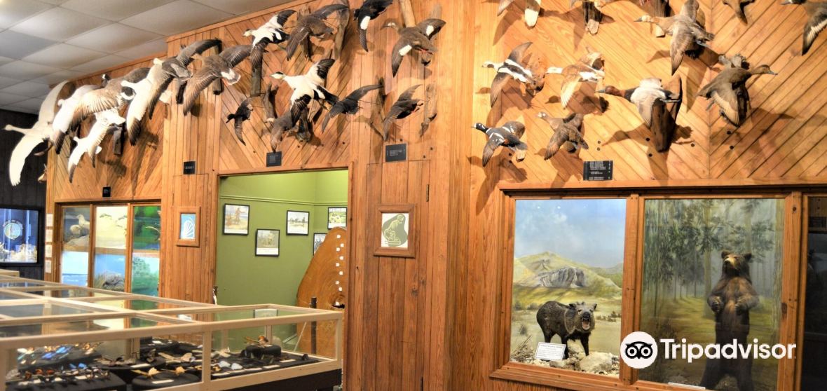 Things to do in Clute (2025): Top nearby activities,popular attractions ...