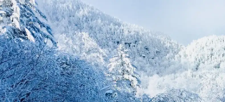 10 Best Hotels near Mad River Glen Lift 3, Fayston | Trip.com