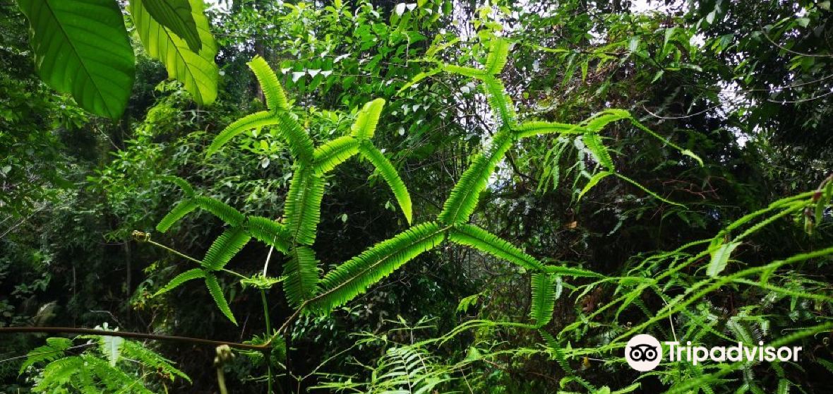 Ampangan 2024 인기 명소 - Ampangan 트립 가이드 - Ampangan 인기 명소 입장권 추천, 호텔, 가 볼 ...