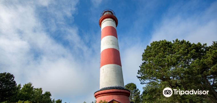 Neringa independent travel guide (2025): top things to do near you ...