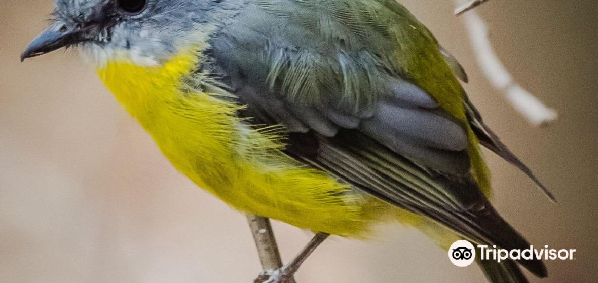 เที่ยวSteiglitz (2024) - ที่เที่ยวใน Steiglitz, กิจกรรมสนุกๆ, โรงแรม ...