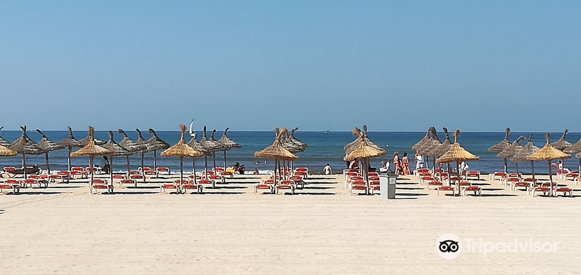 Can Pastilla Travel Guide 2023 - Things to Do, What To Eat & Tips ...