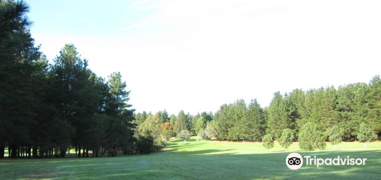 Things to Do in Lindenow South in 2024 - Top Attractions, Local Food ...