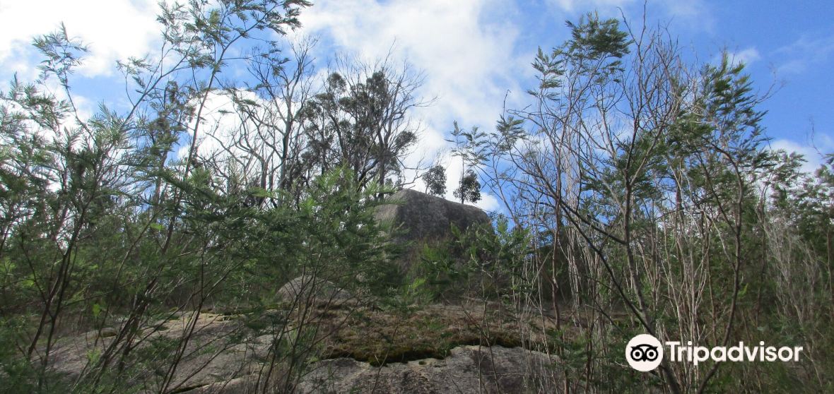 Garfield North Travel Guide 2024 - Things to Do, What To Eat & Tips ...