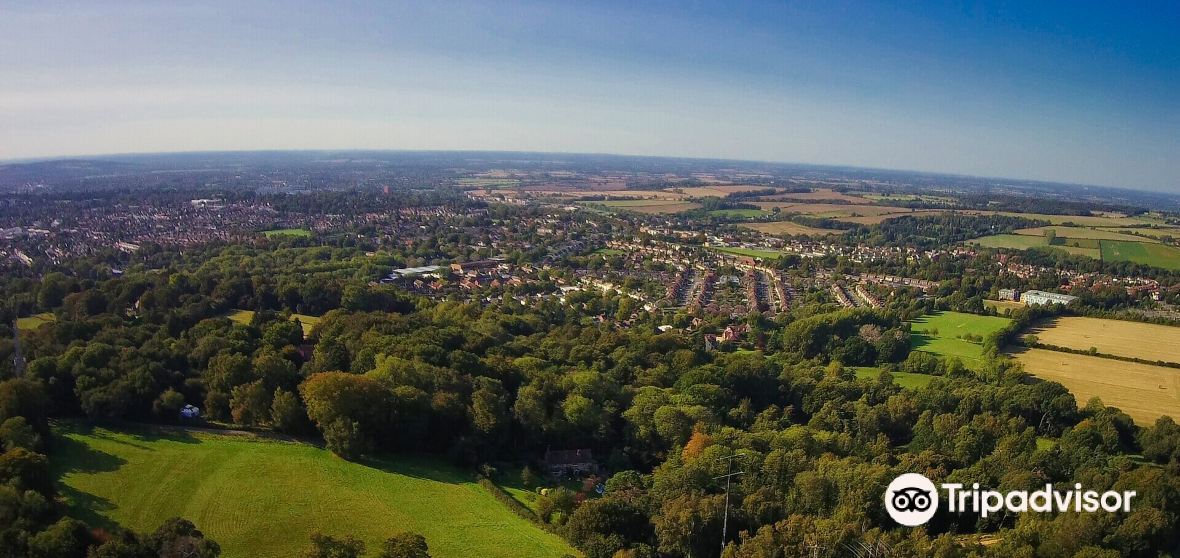 Forest Hill with Shotover Travel Guide 2024 - Things to Do, What To Eat ...