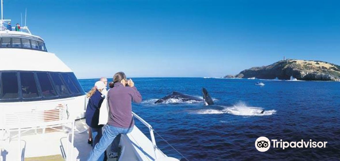 Things to Do in Pinkenba in 2025 - Top Attractions, Local Food, Hotels ...