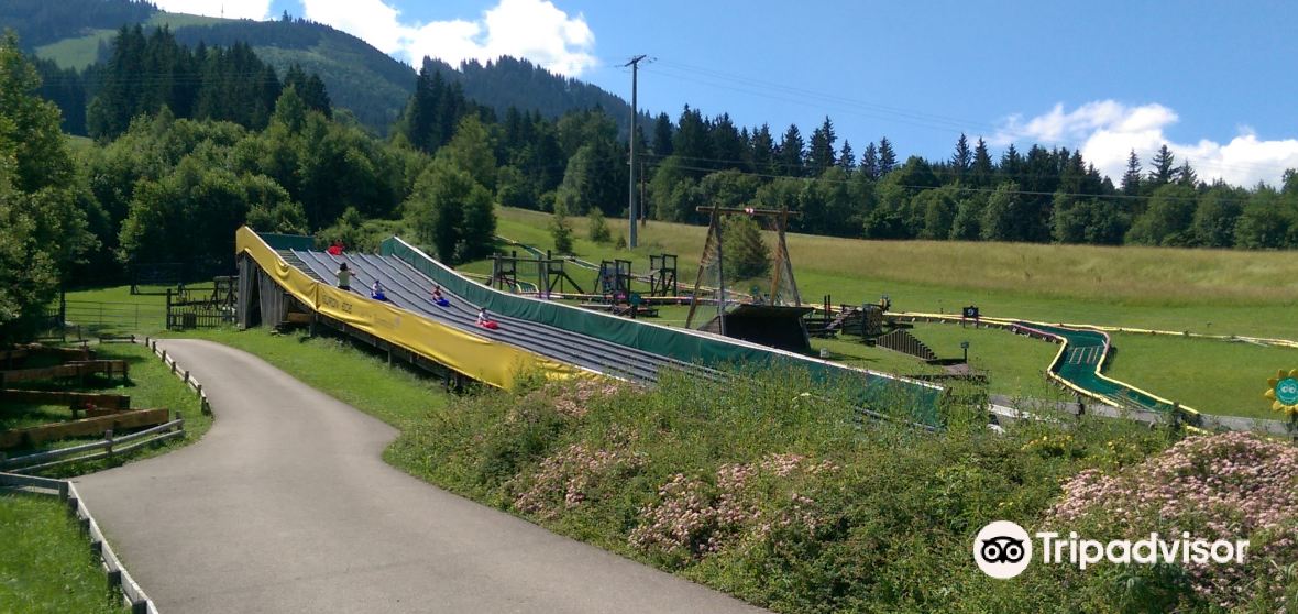 Things to Do in Wertach in 2025 - Top Attractions, Local Food, Hotels ...