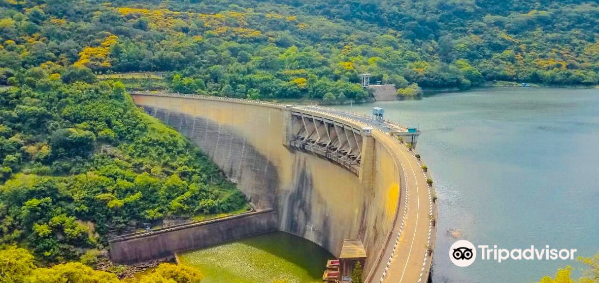 Things to Do in Warrenheip in 2025 - Top Attractions, Local Food ...