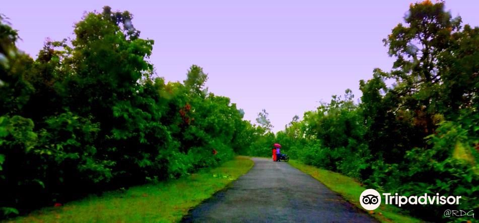 Top 5-Star Hotels in Purulia | Trip.com