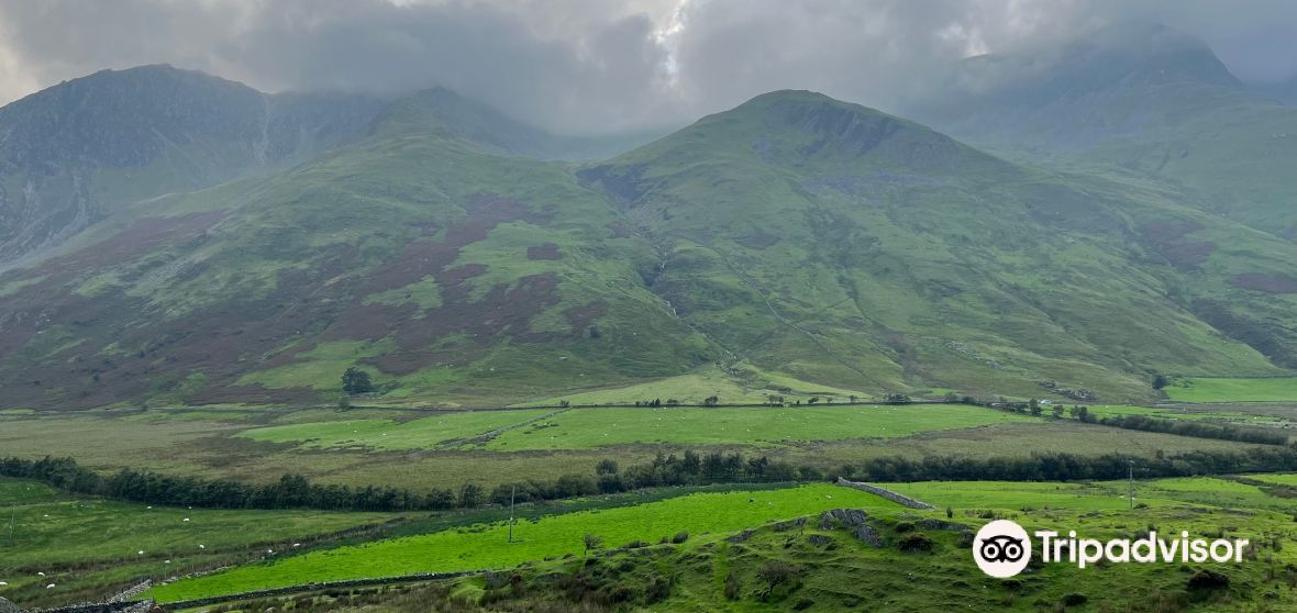 Gabalfa Travel Guide 2024 - Things to Do, What To Eat & Tips | Trip.com