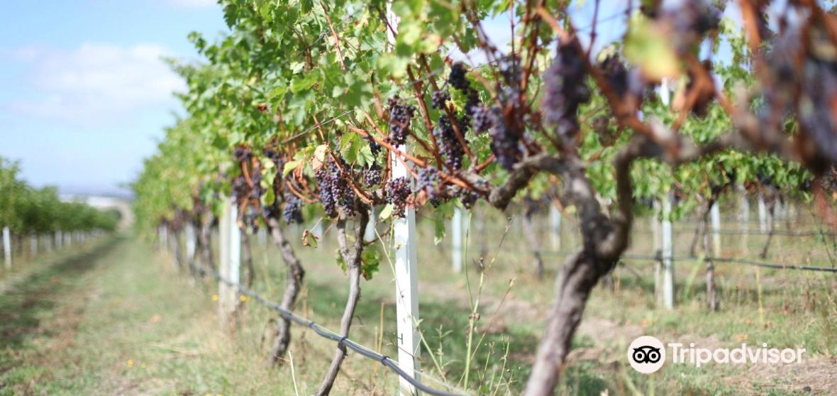 Things to Do in Toolern Vale in 2024 - Top Attractions, Local Food ...