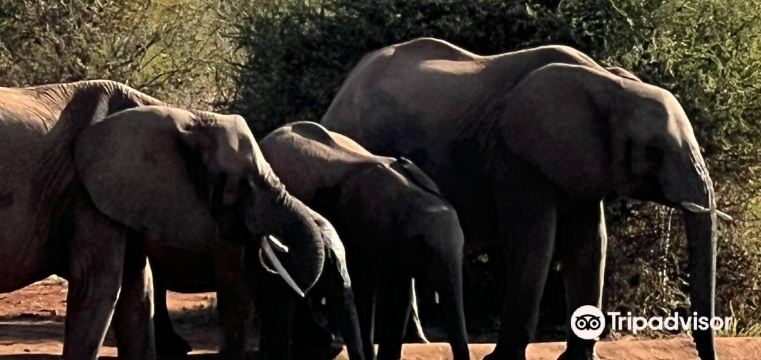 Travel Guide for Places Near Zeerust: Top Things to Do, Weather ...