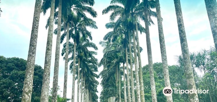Akuapim South Travel Guide 2026: Top Attractions, Things to Do & Deals ...