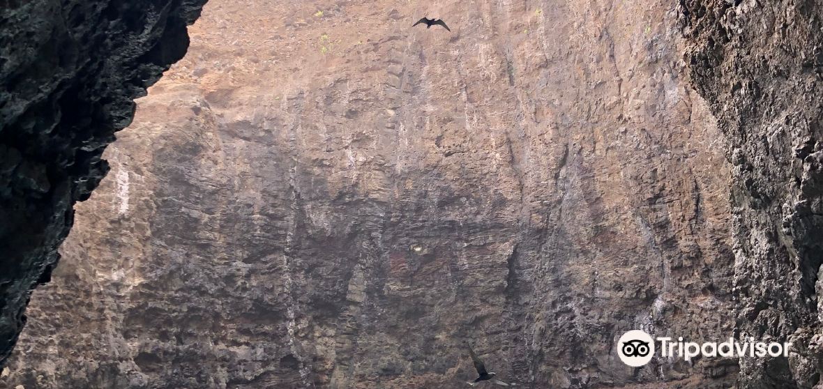 Things to Do in Pakala Village in 2024 - Top Attractions, Local Food ...