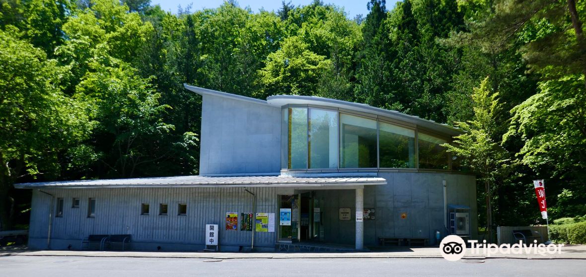 Things to Do in Kuji in 2025 - Top Attractions, Local Food, Hotels ...