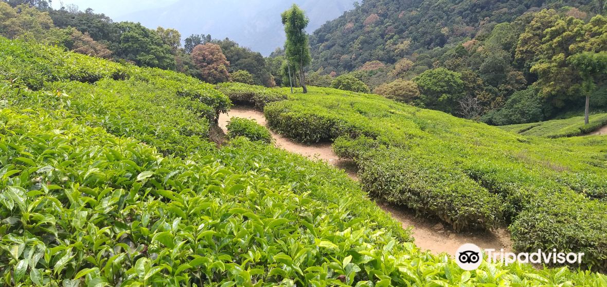 Things to Do in Moolakadai in 2025 - Top Attractions, Local Food ...