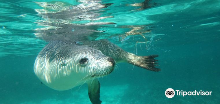 Baird Bay Travel Guide 2024 - Things to Do, What To Eat & Tips | Trip.com