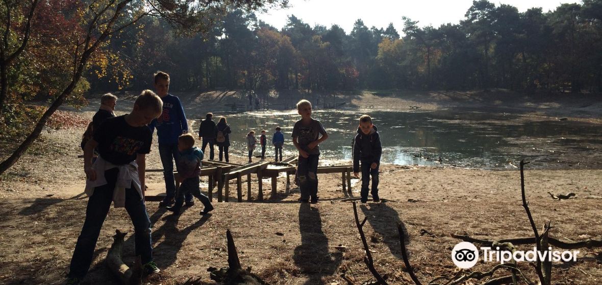 Landerd 2023 인기 명소 - Landerd 트립 가이드 - Landerd 인기 명소 입장권 추천, 호텔, 가 볼 만한 ...