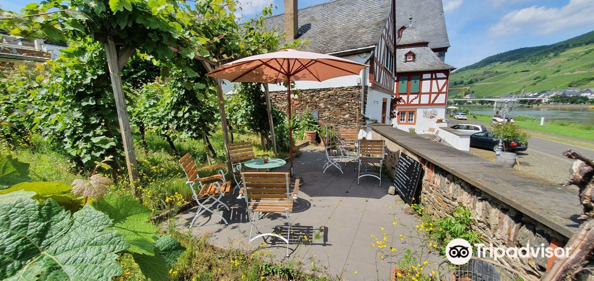 Things to Do in Zell in 2024 - Top Attractions, Local Food, Hotels ...